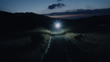 Witt Lowry Official Website – witt-lowry